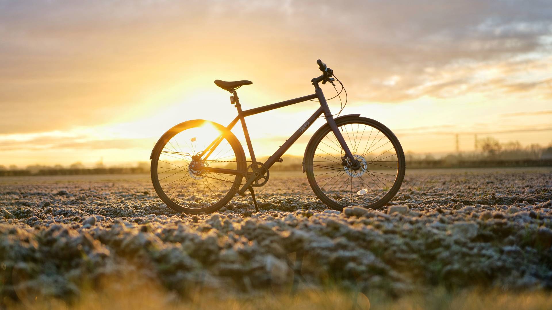 The Zeppo - the most versatile bike you'll ever own